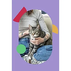 I and love and you Meow and Zen Hearties, Coat Support Grain Free Cat Treats, Salmon Recipe With Omegas 3 and 6, Model Number: T11305 4 Ounce (Pack of 1)