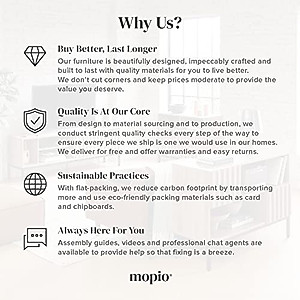 mopio Sterling Electric Standing Desk Frame, Single Motor Black Frame Base for Standing Desk, Computer Desk, Home Office Desks (Walnut, 47" Table Top Only)
