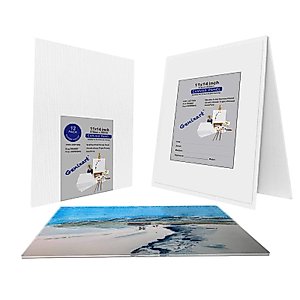 Genixart White Blank Canvas Panels, 11x14 Inch 12 Pack, 100% Cotton, Primed Professional Artist Canvases Boards for Acrylics & Oils Painting