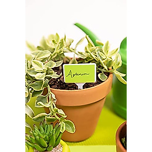 Astrobrights Mega Collection, Colored Paper, Neon Green, 625 Sheets, 24 lb/89 gsm, 8.5" x 11" - MORE SHEETS! (91672)