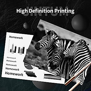 JINTUM Compatible PB-211 Toner Cartridge Replacement for Pantum PB-211 PB-211EV Toner Cartridge for Pantum P2502W M6552NW M6550NW M6602NW M6600NW P2500W Laser Printer (Black, 2Pack)