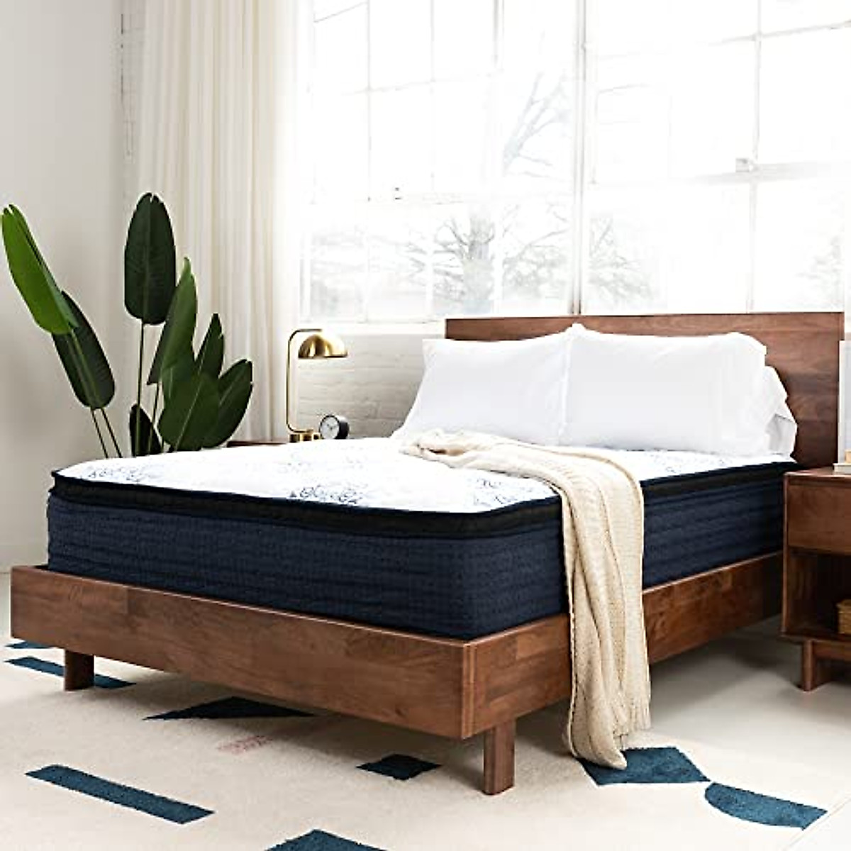 Signature Design by Ashley Mt Dana 16 Inch Eurotop Plush Mattress, CertiPUR-US Certified Foam, California King