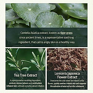 Pyunkang Yul Ceramide Calming Mask Pack 10 PCS - Korean Face Mask Skin Care Products - Beauty Face Mask Containing Panthenol, Hyaluronic Acid, Tea Tree, Shea Butter, Squalene and Cica - Korean Beauty