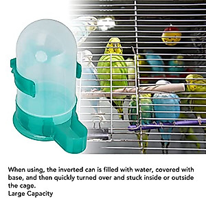 GLOGLOW Pigeon Water Feeder, Automatic Bird Pigeon Food Feeder Water Dispenser for Sparrow Parrorts Budgie Cockatiel Lovebirds