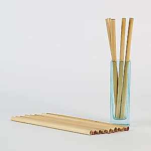 EcoAmiga Bamboo Straw, 8 Inch Reusable & Biodegradable Organic Bulk Straws – Great Ecological Alternative to Plastic Straws (Reed)