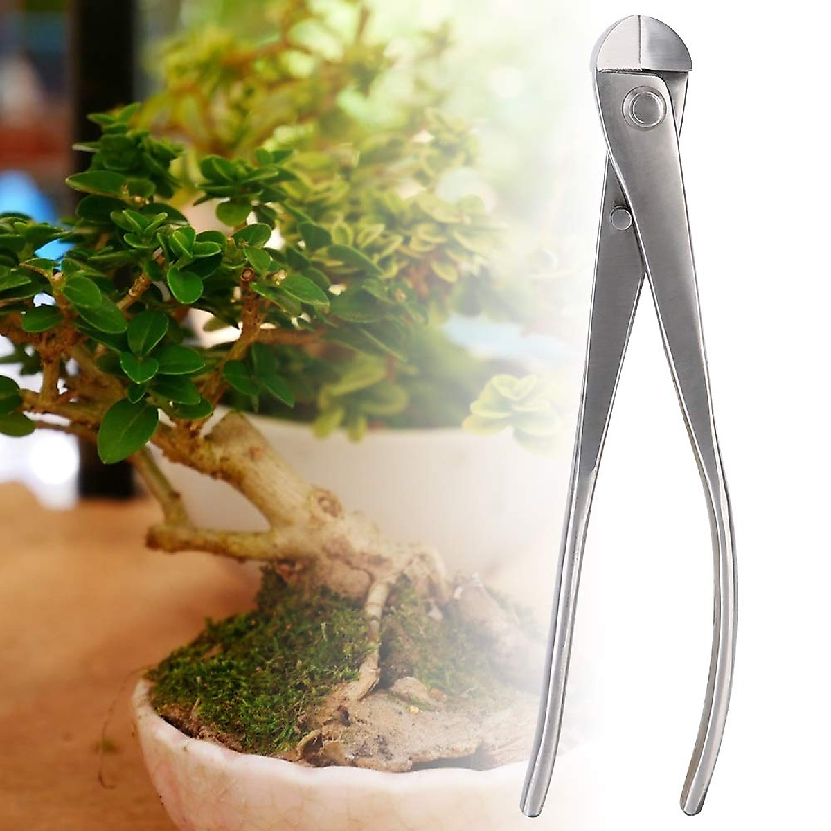 8inch Concave Cutter Bonsai Tool, Round Branch Cutter, 210mm Stainless Steel Bonsai Cutterround Edge Garden Pruning Shears Branches Cutter Scissors Beginner Bonsai Tools