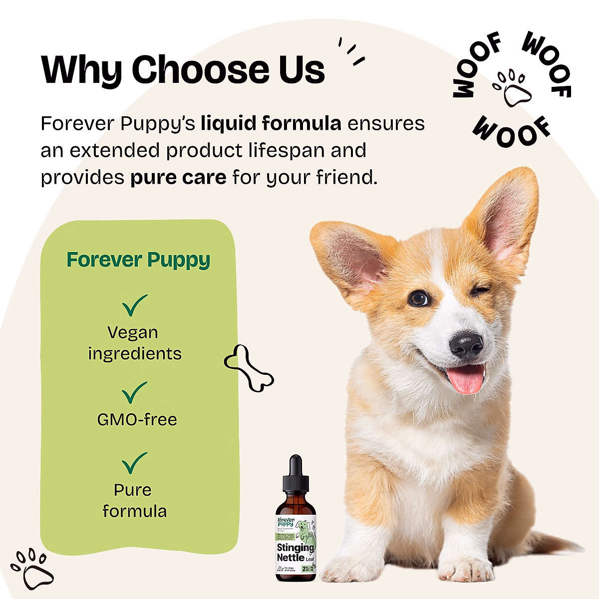 Stinging Nettle Leaf for Dogs - Itchy Skin Relief for All Breeds & Sizes - Liquid Dog Food Supplements for Soothing Skin Irritation & Itching - Herbal Skin and Coat Supplement for Pets - 2 oz