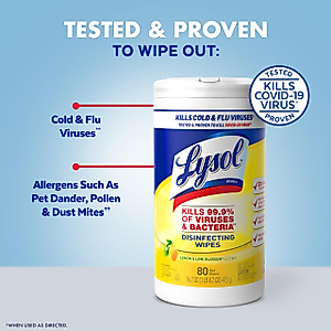 Lysol Disinfectant Wipes, Multi-Surface Antibacterial Cleaning Wipes, For Disinfecting and Cleaning, Lemon and Lime Blossom, 80 Count (Pack of 4)