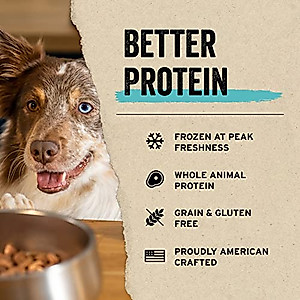 Vital Essentials Freeze Dried Dog Treats, Raw Minnows Treats for Dogs 2.5 oz
