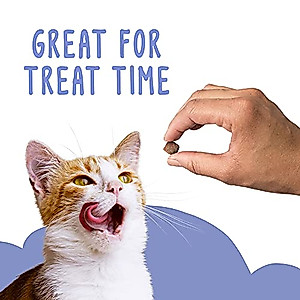 Friskies Party Mix Crunch Gravy-Licious Turkey & Gravy Treats (Pack of 2)