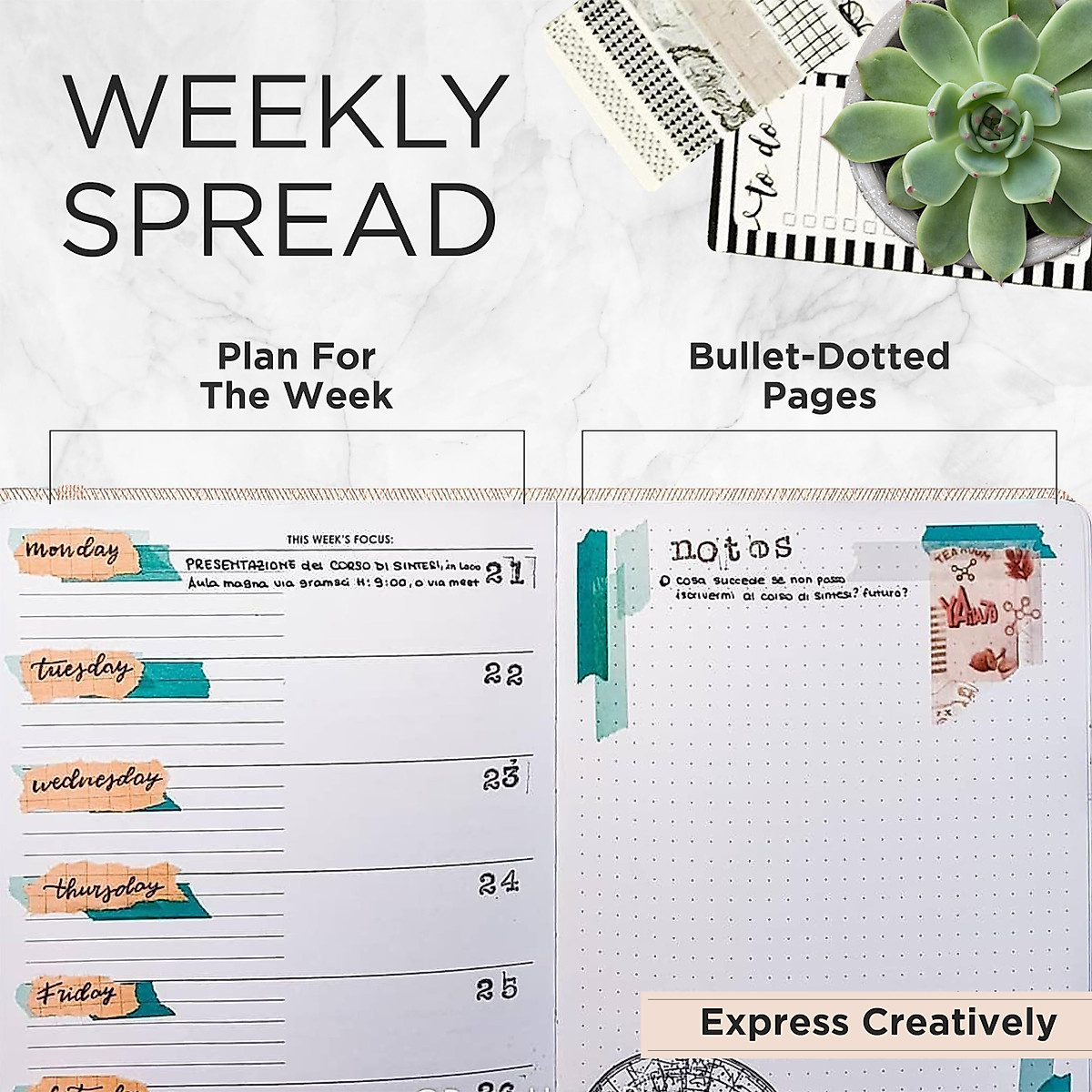 Wordsworth Undated Planner Weekly and Monthly - Dotted Blank Planner - Hardcover, Dateless Weekly Planner, 5.83 × 8.27In - Premium A5 Paper (120GSM) - Monthly, Weekly, Yearly Spread - Bullet Planner