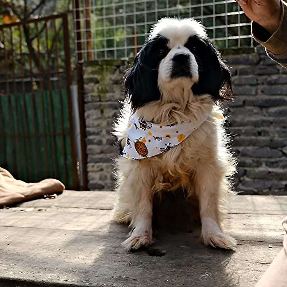 CROWNED BEAUTY Spring Summer Dog Bandanas Reversible Large 2 Pack, Daisy Bee Set, Plaid Adjustable Triangle Holiday Scarves for Medium Large Extra Large Dogs Pets DB36-L