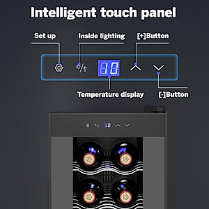 Vaykold 8 Bottle Wine Fridge, Small Wine Cooler for Red White, Wine Refrigerator with Dual-Pane Gray Glass Door, Quiet Steady Thermoelectric Operation, 41-64F, Designed for Party, Basement, Bar, Gift