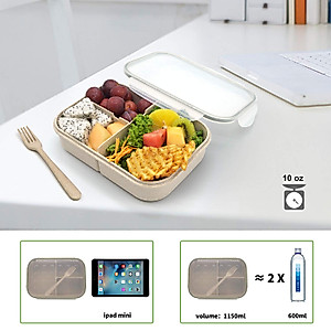 Jeopace Bento Box for Adults Lunch Containers for Kids 3 Compartment Lunch Box Food Containers Leak Proof Microwave Safe(Flatware Included, Transparent)