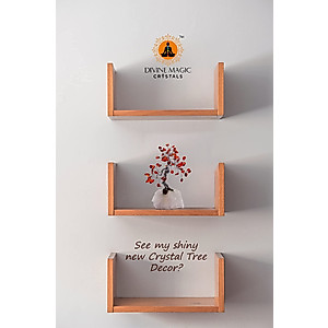 Divine Magic Carnelian Healing Good Luck Money Tree Abundance Home Decor Decoration Crystal Tree Sculpture Gift Figurine Good Health Wealth