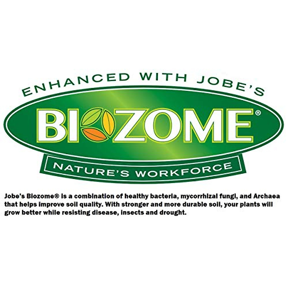 Jobe's 9726 Granular Plant Food Fast Start, 4 lbs