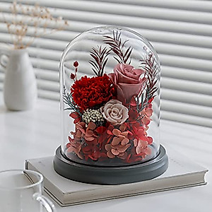 ZOOFOX Set of 2 Glass Dome Cloche with Black Wooden Base, 6" x 7" Decorative Bell Jar Display Dome for Plants, Fairy Lights, Photos, Succulents and Medals