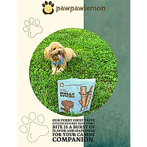 pawpawlemon Bully Sticks for Dogs (6 inch Pack of 20) | Long Lasting Natural Dog Chew | Single Ingredient 100% Beef Pizzle | Packed in The USA | Standard Thickness