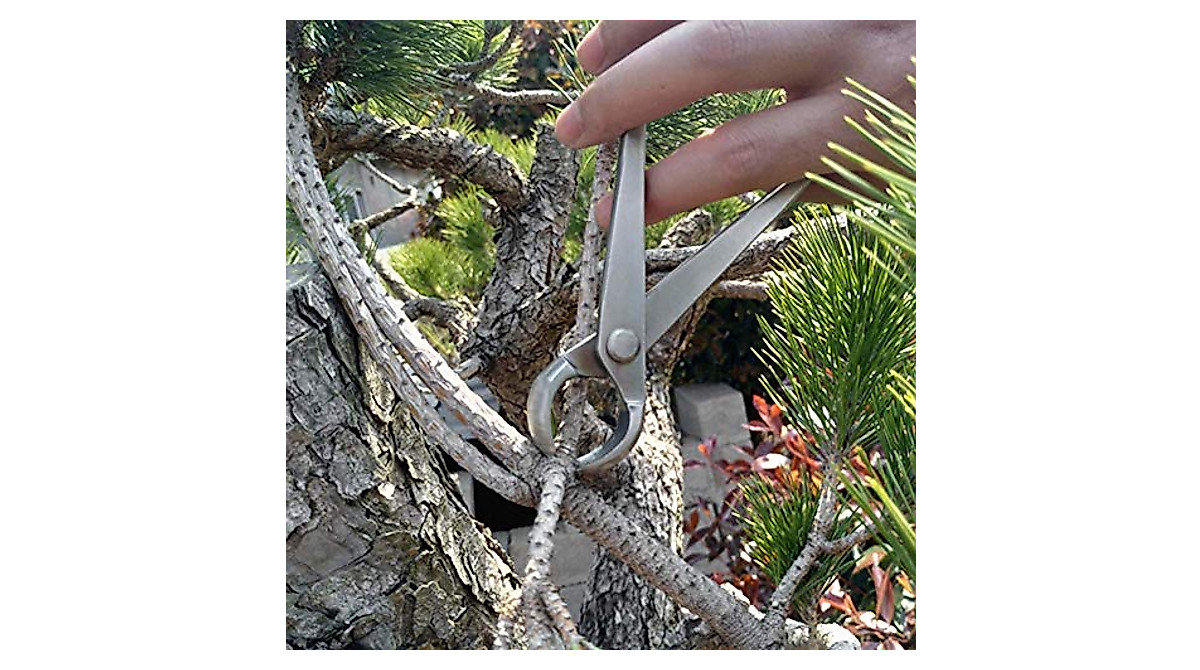 Agatige Bonsai Branch Cutter - 7 Inch Stainless Steel Tool
