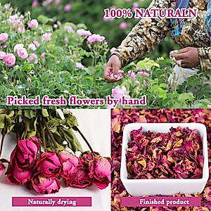 SACATR Dried Flowers, 50 Bags 100% Natural Dried Herbs Kit for Soap Making, Candle, Resin Jewelry Making, Bath, Nail - Include Rose Petals, Rosebuds, Lilium, Jasmine, Don't Forget Me and More