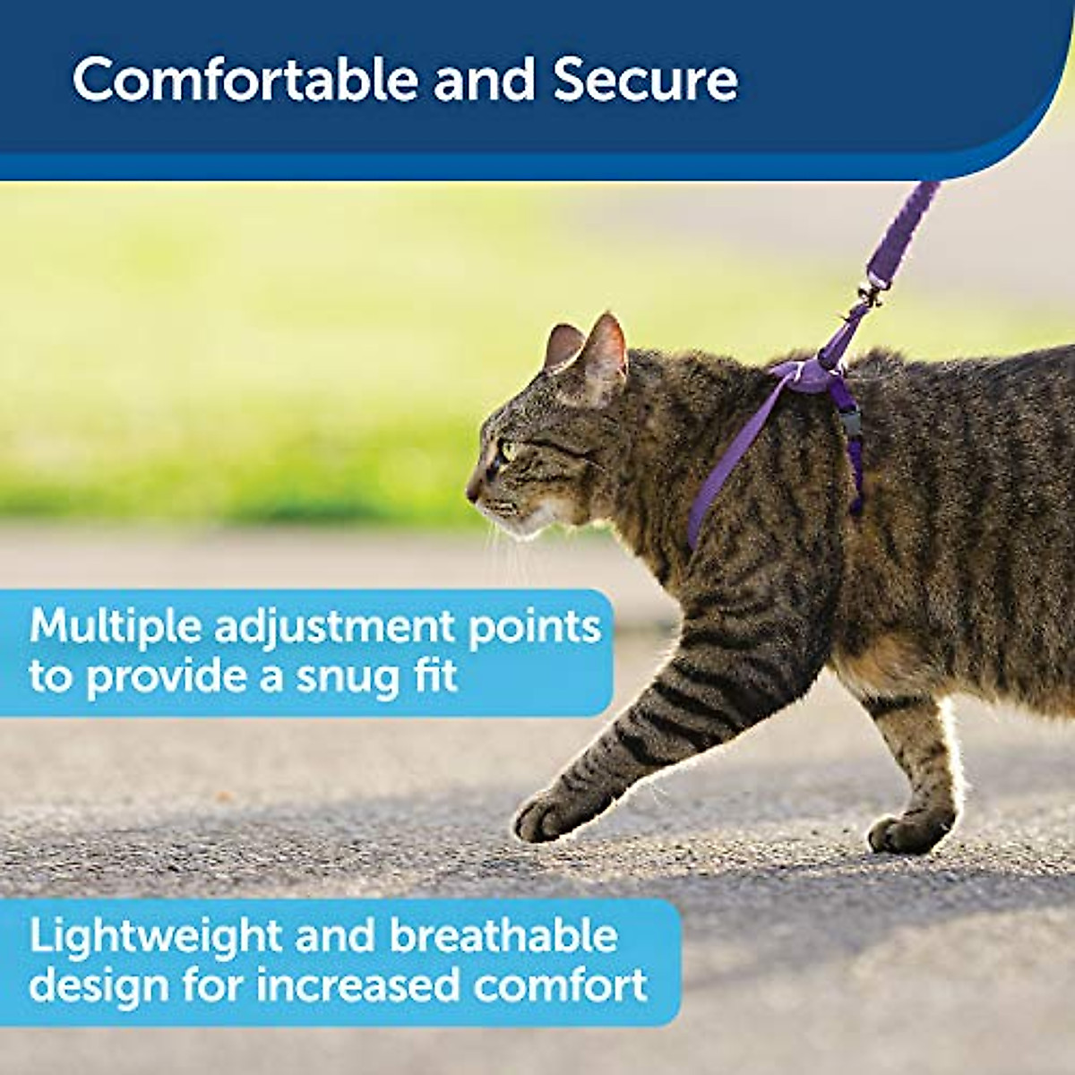 PetSafe Come With Me Kitty Harness and Bungee Leash, Harness for Cats, Large, Lilac/Bright Purple