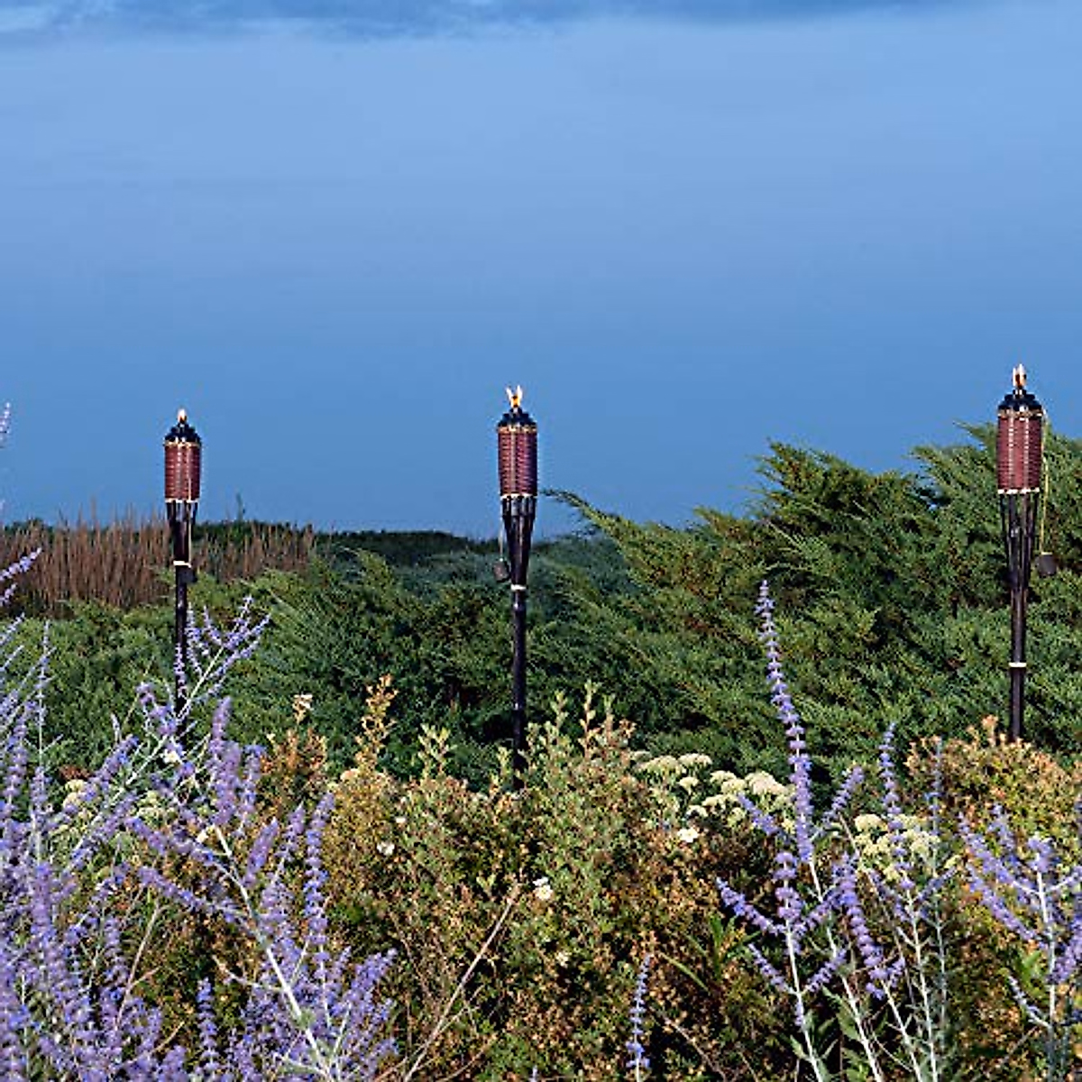 Backyadda Bamboo Tiki Torches for Outside with Extra-Large (16oz) Metal Canisters and Fiberglass Wicks for Longer Lasting Burn. Stands 59" Tall. Multiple Styles Available. (Burnt Sienna, 6 Pack)