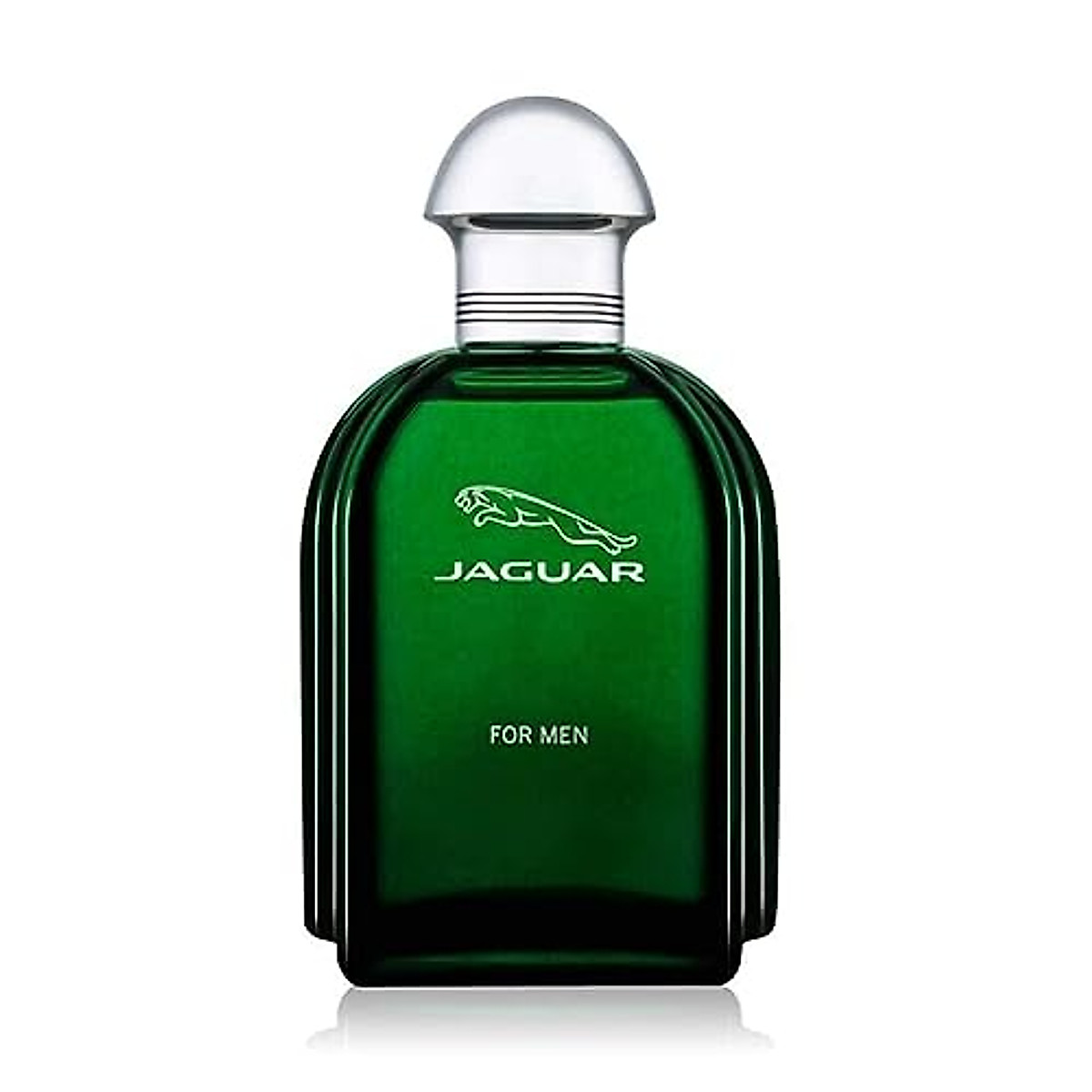 Jaguar Jaguar Eau De Toilette Spray 3.4 Ounce / 100 Ml for Men By Jaguar, 3.4 Ounce, Multi