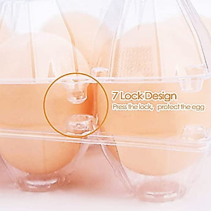 Egg Cartons 50 Packs, Clear Eco-friendly Plastic Blank Egg Cartons, Holds up to 12 Eggs Securely, Perfect for Family Pasture Farm Markets Display - Medium