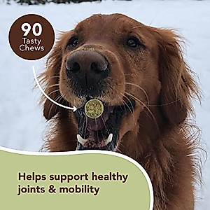 Natural Dog Company Hip & Joint Chews, Chicken Liver & Turmeric Flavor, with Glucosamine Chondroitin for Dogs, Maintains Bone and Joint Health, Supplements for Seniors and Puppies, 90 Count