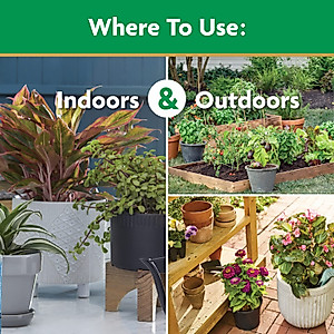 Miracle-Gro Water Soluble All Purpose Plant Food, Fertilizer for Indoor or Outdoor Flowers, Vegetables or Trees, 10 lbs.