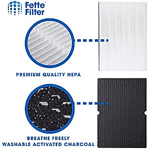 Fette Filter - 116130 Premium True HEPA H13 Filter H Compatible with Winix Filter H 116130 for Winix Model 5500-2 AM80 Air Purifier Includes 2 Pack Ture HEPA Filters + 2 Pack Activated Carbon Pre-Filters