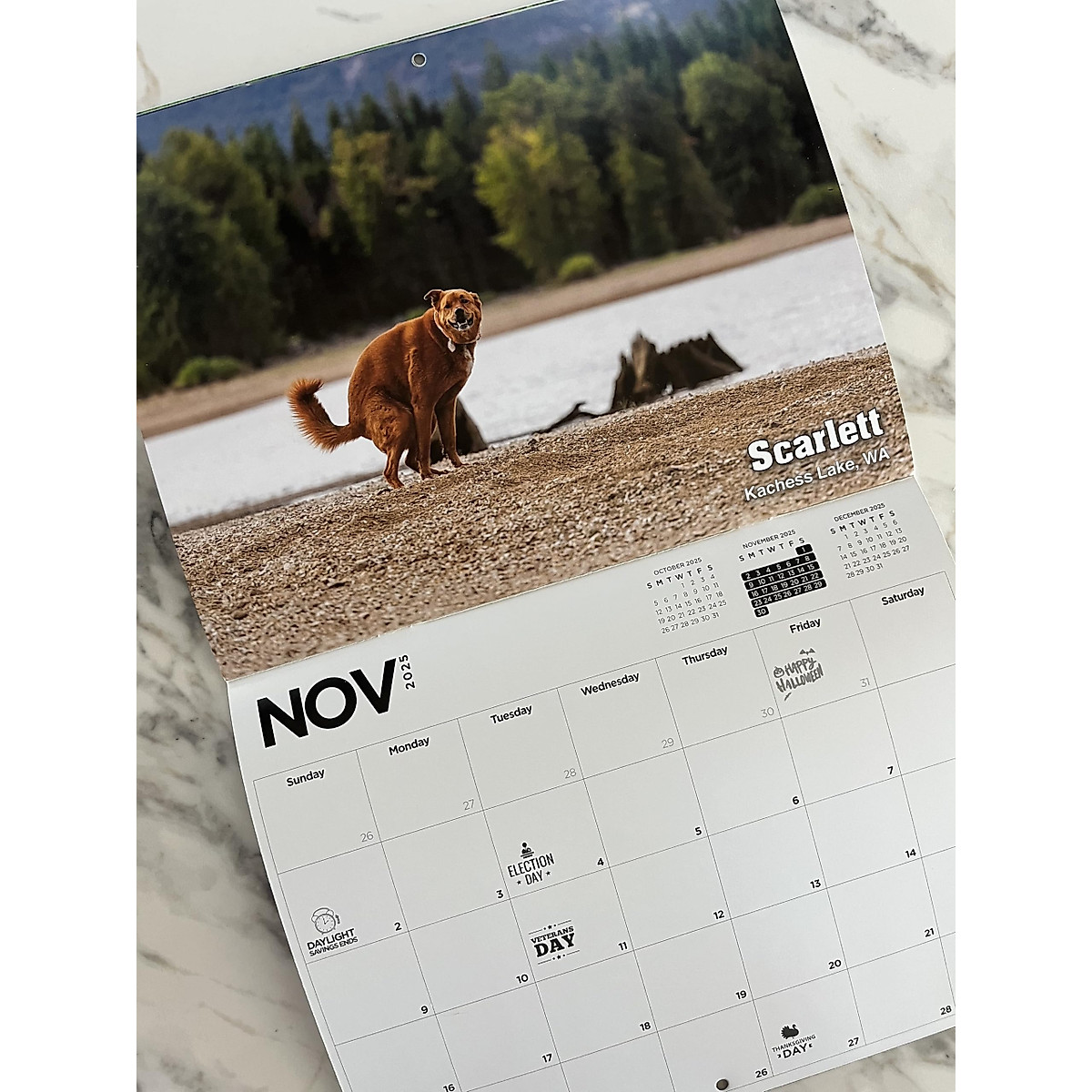 Pooping Pooches White Elephant Gag Gift Calendar
