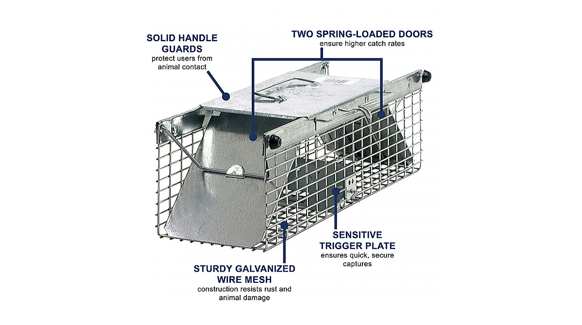 Havahart 1025 Small 2-Door Humane Animal Trap - Safe & Effective