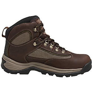 Timberland Men's 18126 Plymouth Trail Boot,Dark Brown,13 M US