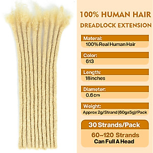 6-18 Inch Dreadlock Extensions Human Hair Fully Handmade Human Hair Dreadlock Extensions for Man/Women Locs Extensions Human Hair Can Be Dyed Bleached Curled… (18Inch-30Strands, 0.6CM Width-613#)