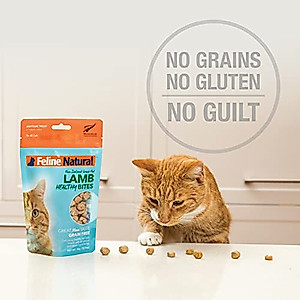 Feline Natural Grain-Free Freeze Dried Cat Treats, Lamb 1.76oz