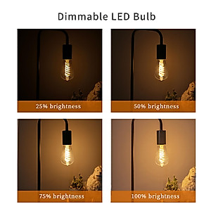 Austin Coast 12 PCS Dimmable Vintage LED Edison Bulbs, 6W Equivalent 60 Watt, Warm White 2700K, Antique Flexible Spiral LED Filament Light Bulb, ST58 (ST19), 600 Lumens, E26 Base, Clear Plastic