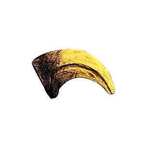 Velociraptor Dinosaur Life Size Claw Fossil Replica