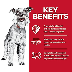 Hill's Science Diet Small & Mini, Senior Adult 7+, Small & Mini Breeds Senior Premium Nutrition, Dry Dog Food, Chicken, Brown Rice, & Barley, 15.5 lb Bag