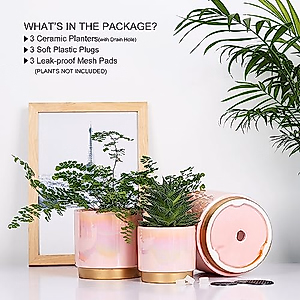 Gepege Pink Indoor Plant Pots for Plants, Ceramic Planter with Drainage Hole, 6.0 inch+5.0 Inch+4.0 Inch. Succulent Orchid Flower Pot - Rainbow Pearl Glaze