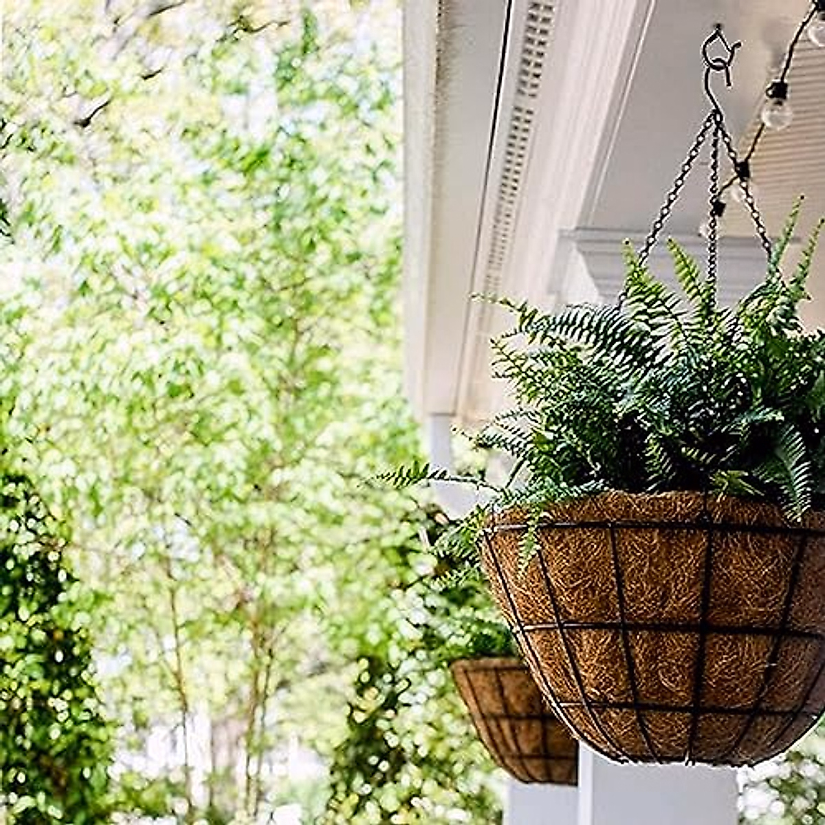 WaterLuu 12 Pcs String Light Hooks, Q Hanger Hooks with Safety Buckle for Ceilling Plants, Windproof Outdoor Light Hooks for Hanging Patio Lights, Christmas Lights & Plants 2.2 Inch