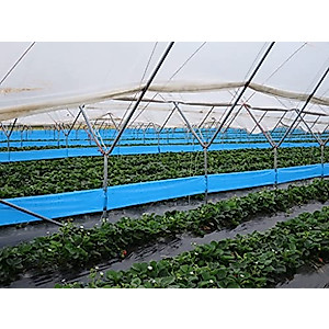 Giant Blue Sticky Traps - Tape Roll, 15cm x 100m - Insect Sticky Traps Plant Traps for Flying Insects, Fruit Fly, gnats Lantern Flies, for Garden Plant Outdoor/Indoor