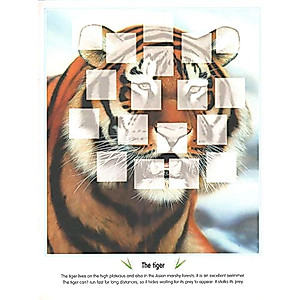 3 PACK Amazing Animal Puzzle Stickers 1,2 & 3