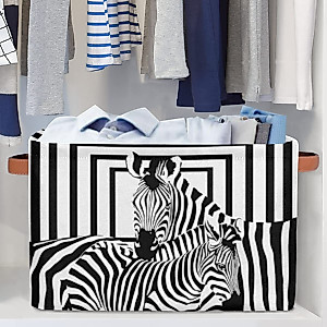 Funky Qiu African Animal Zebra Storage Basket Cube Black White Large Toys Storage Box Bin with Handle Collapsible Closet Shelf Cloth Organizer for Nursery Bedroom,15x11x9.5 in,2 Pack
