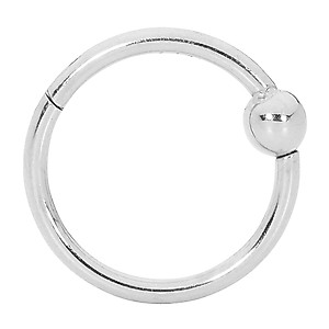 365 Sleepers 316L Surgical Steel 20G 18G 16G 14G 6mm-12mm BCR Ball Closure Septum Hinged Segment Nose Lip Ring Hoop Unisex Earrings Body Piercing Jewelry