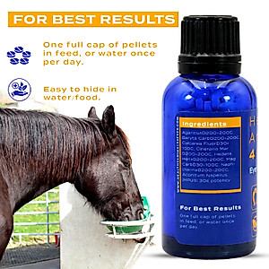 Healthy Animals 4Ever All-Natural Horse Eye Health Support - Maintains Normal Mineral Levels for Horses Eyes - Eye Supplements for Horses - Homeopathic & Highly Effective - 300 Tablets