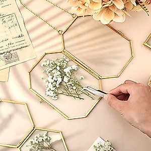 Dried Babys Breath Flowers Bouquet Ivory White Babys Breath Real Flowers Natural Gypsophila Branches Dry Pressed Gypsophila for Wedding Resin Art Craft DIY Card Making Home Party Decor (100 Pcs)