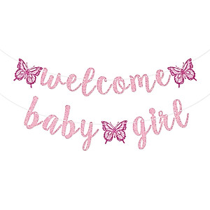 Welcome Baby Girl Banner, Butterfly Baby Girl Banner, Girl Baby Shower Decorations (Pink)