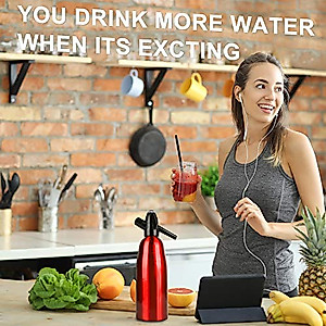 LANGSHI Soda Siphon, Home Seltzer Maker Portable Siphon Soda Maker Seltzer Water Siphon 1 Liter, Use 8 gram CO2 Cartridges(Not Included)