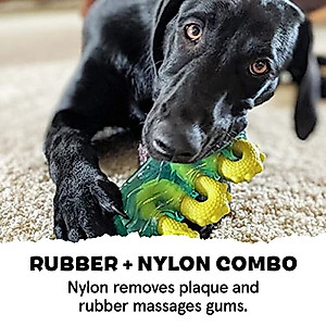 Barkbox Tough Dog Toys & Chews for Aggressive Chewers, Durable Rubber & Nylon Super Chewer Treat Dispensing, Balls, & Teething Toys for Small, Medium, & Large Dogs & Puppies, The Dog Ness Monster